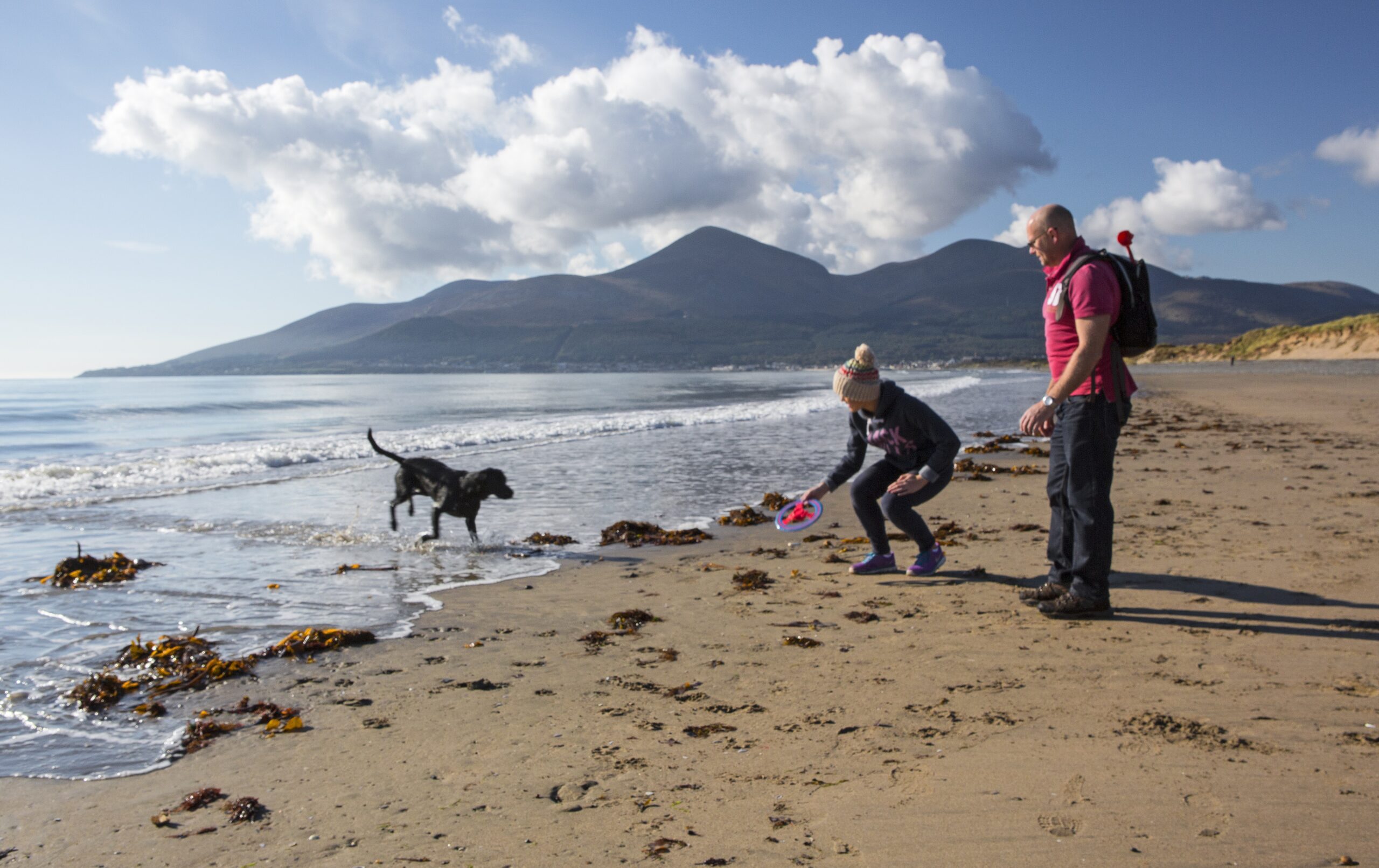 The New Visitor - Visitor Safety Group